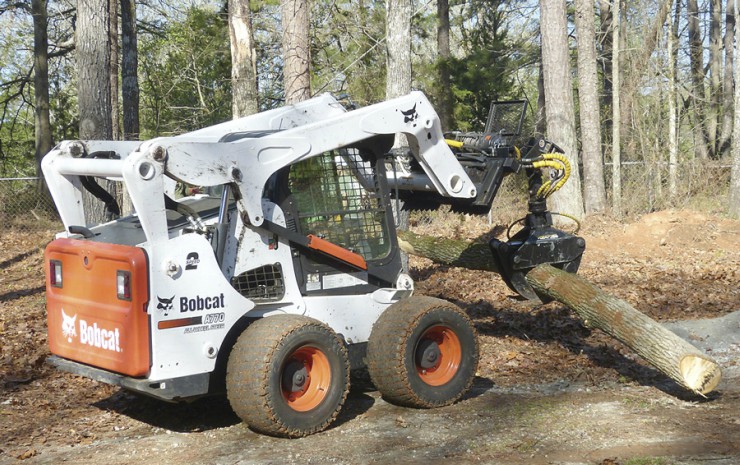 770-Tree-Guy is Fayette's only tree company with a Certified Arborist | The Citizen