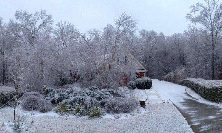 Ice, Ice, Baby | The Citizen